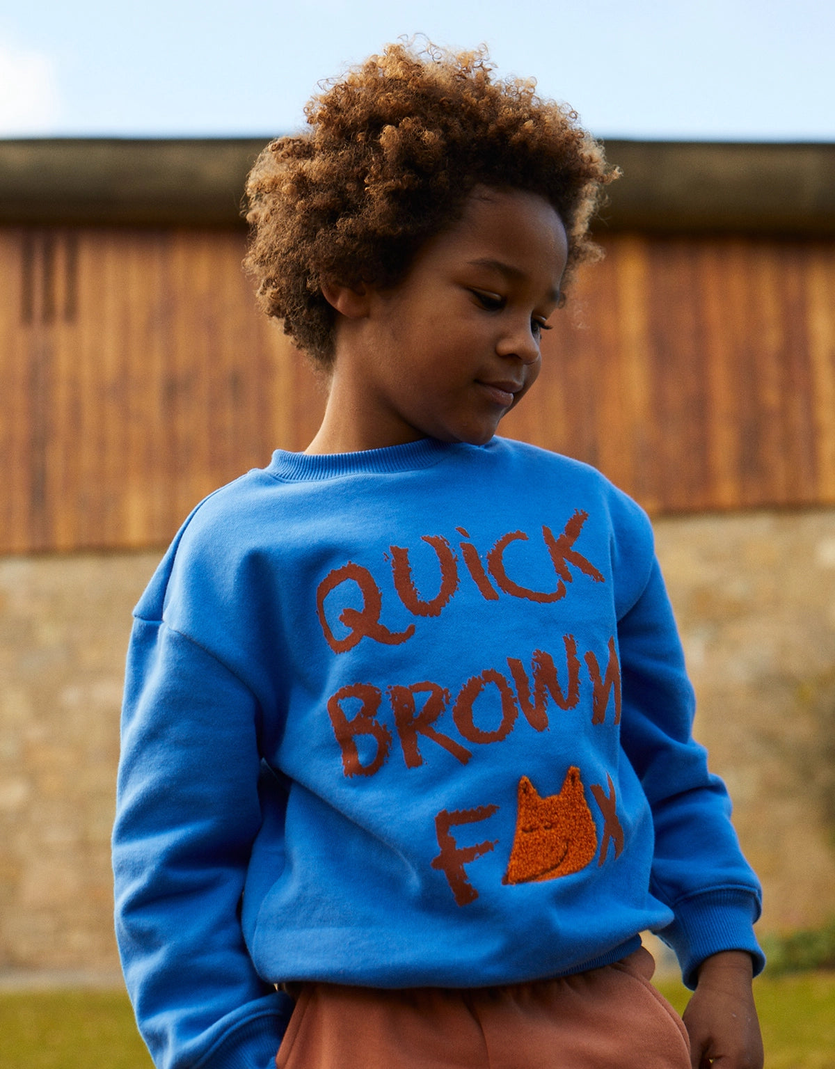 BOYS FOX FLOCK PRINT AND CHENILLE EMBRO JERSEY FLEECE PULLOVER ...